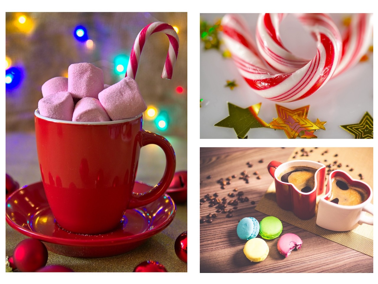 La 'Edición Navideña del Café y Chocolate Fest' llega al Palacio de la ...